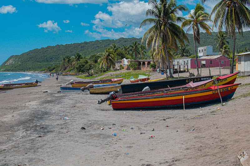 Alligator Pond - Connecting Jamaica