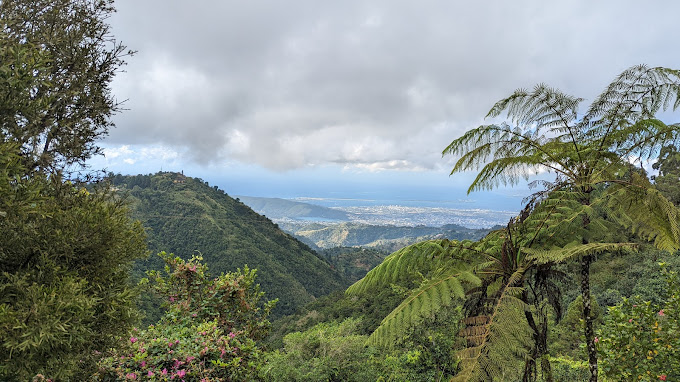 Holywell Recreational Area - Connecting Jamaica