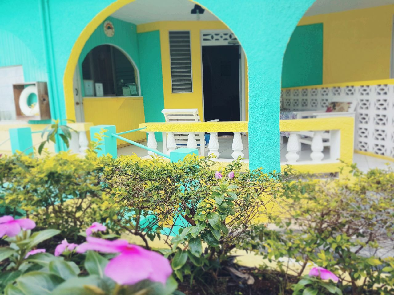 JJ’s Guest House - Connecting Jamaica
