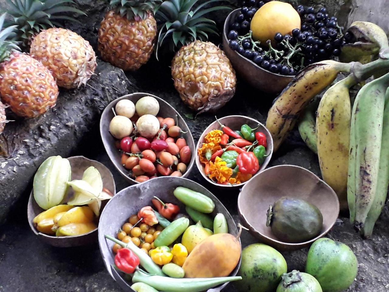 Rastafari Herbal Gardens - Connecting Jamaica