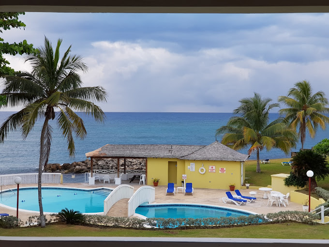 Sea Palms - Connecting Jamaica